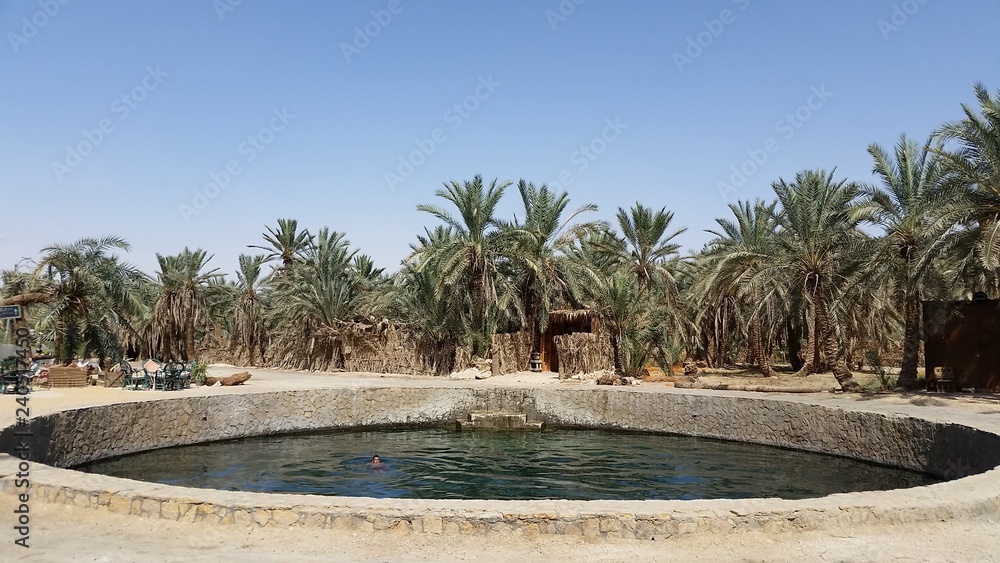 Cleopatra's Spring at Siwa Oasis, Egypt, Libyan Desert Stock Photo ...