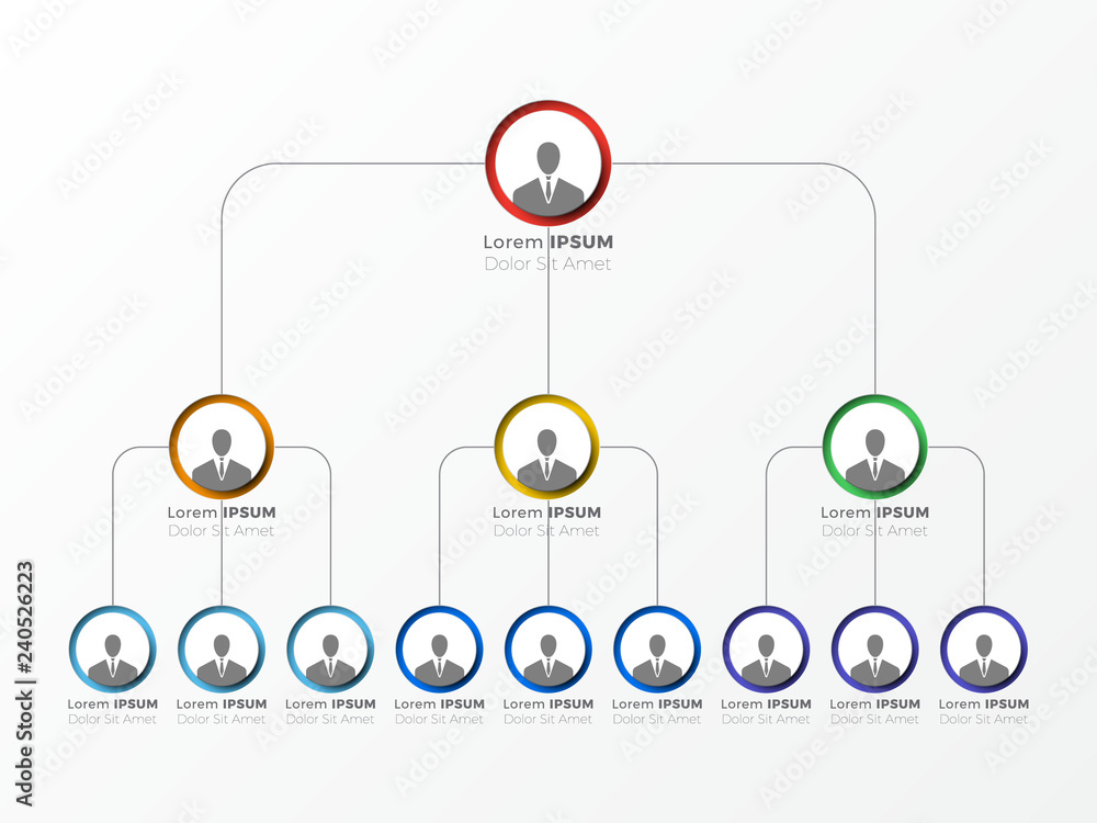 organizational structure of the company. business hierarchy infographic ...