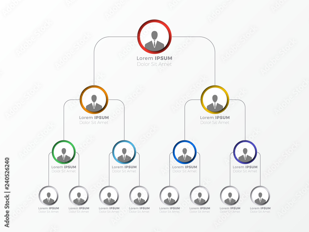 organizational structure of the company. business hierarchy infographic ...