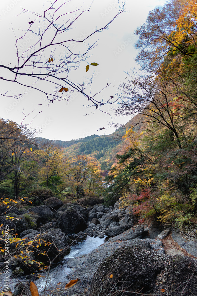 Photo Stock Autumn leaves of Fukuroda Falls in Daigo-cho, Kuji-district ...