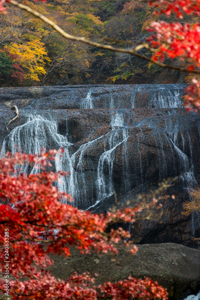 Photo Stock Autumn leaves of Fukuroda Falls in Daigo-cho, Kuji-district ...