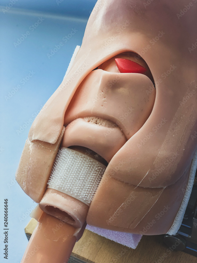 Mannequin for airway instrumentation and tracheostomy practice drills ...