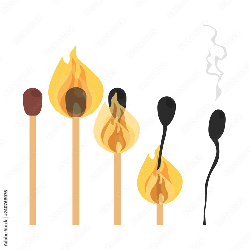 Set of burned matches at various stages. Stages of gradual combustion ...