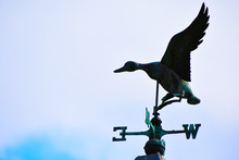 Wind Indicator Free Stock Photo - Public Domain Pictures