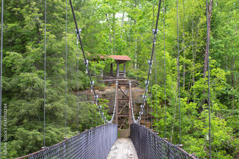 Tennessee State Parks. Pedestrian footbridge on a hiking trail through ...