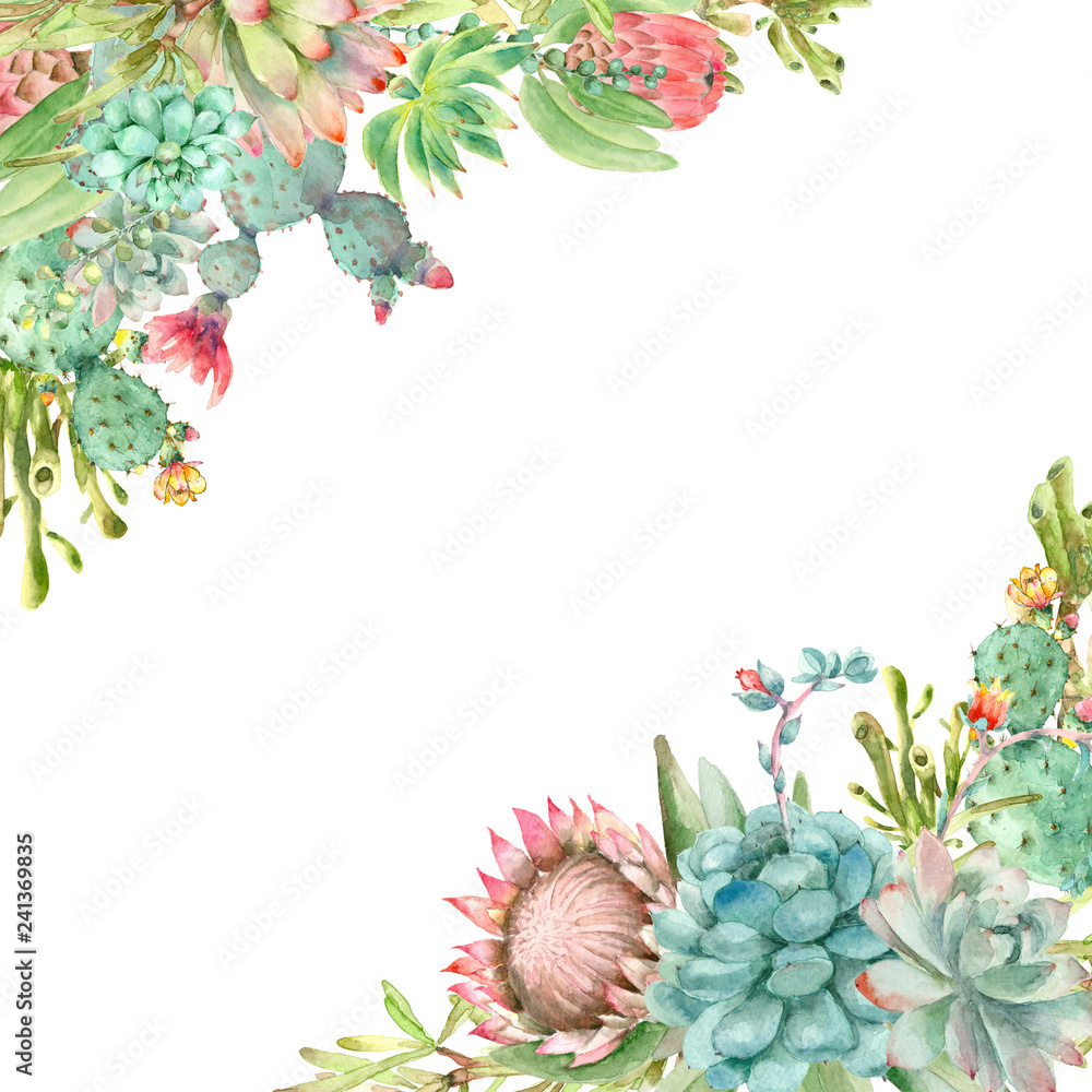 Succulents banner watercolor Stock Illustration | Adobe Stock