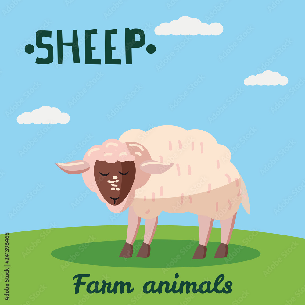 Cute Sheep farm animal character, farm animals, vector illustration on ...