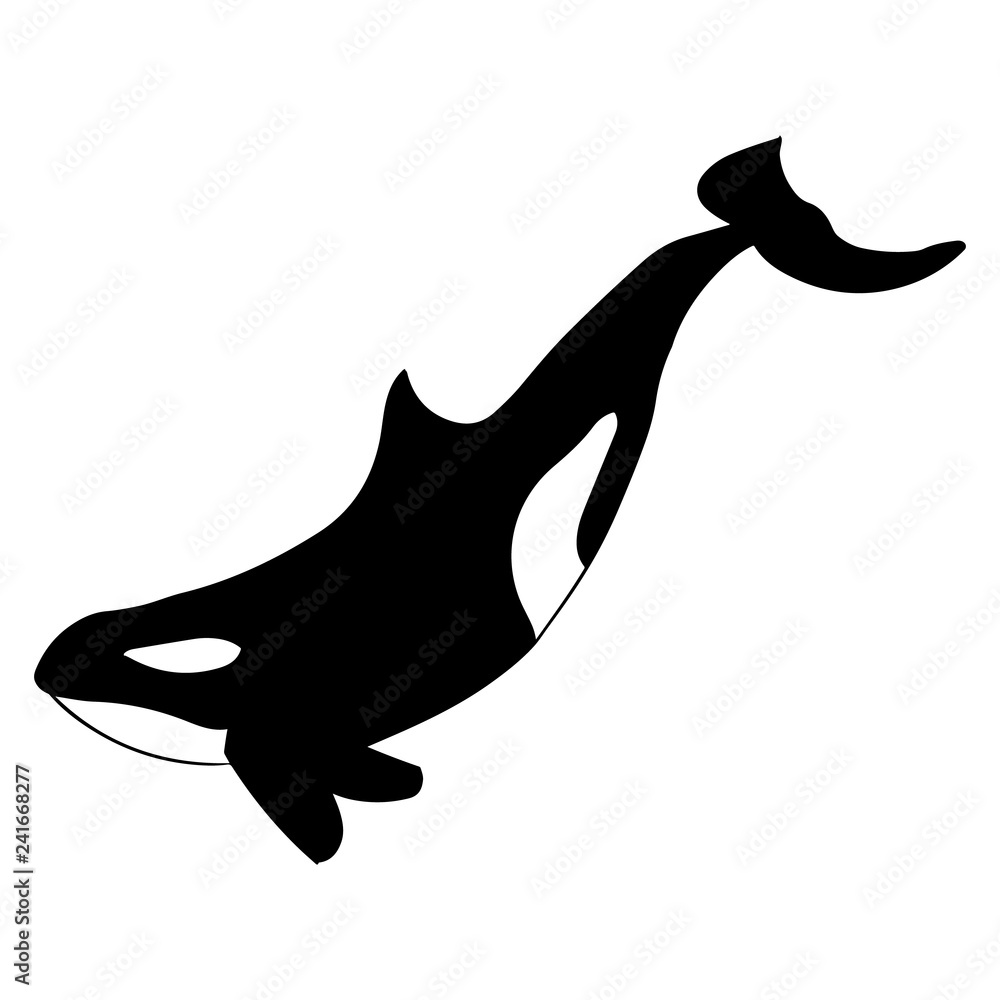 Orca whale silhouette. Vector black and white illustration Stock Vector ...