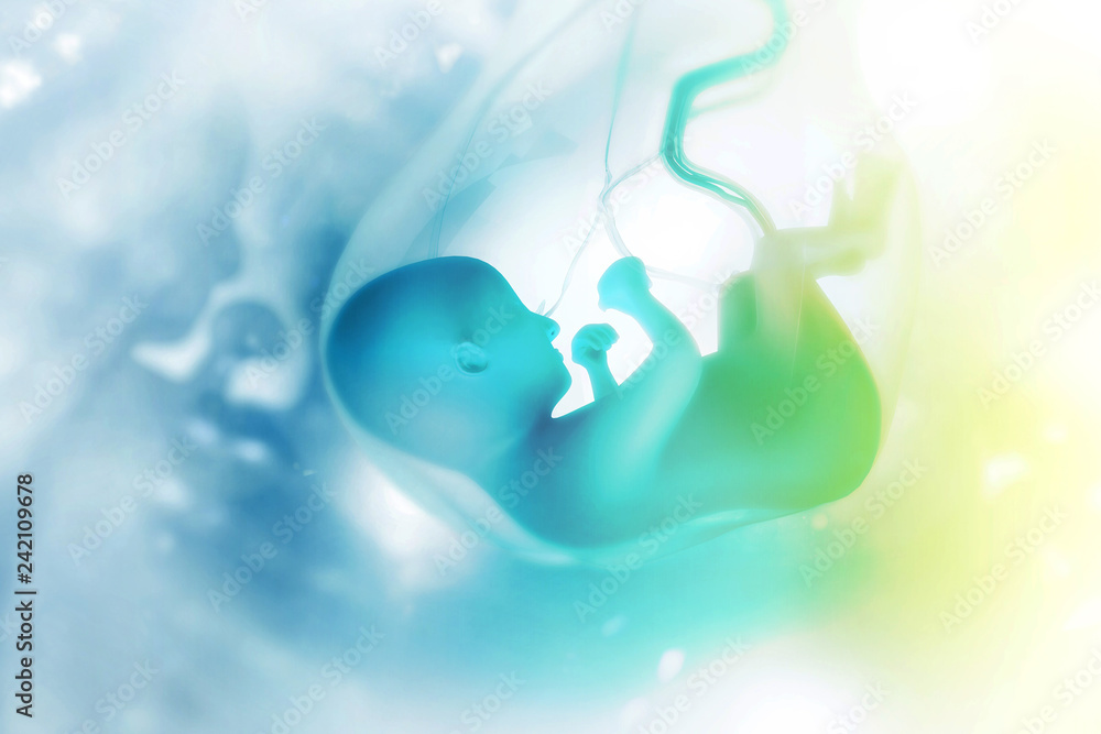 Human fetus on scientific background Stock Illustration | Adobe Stock