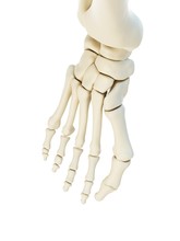 Distorted Skeleton Free Stock Photo - Public Domain Pictures