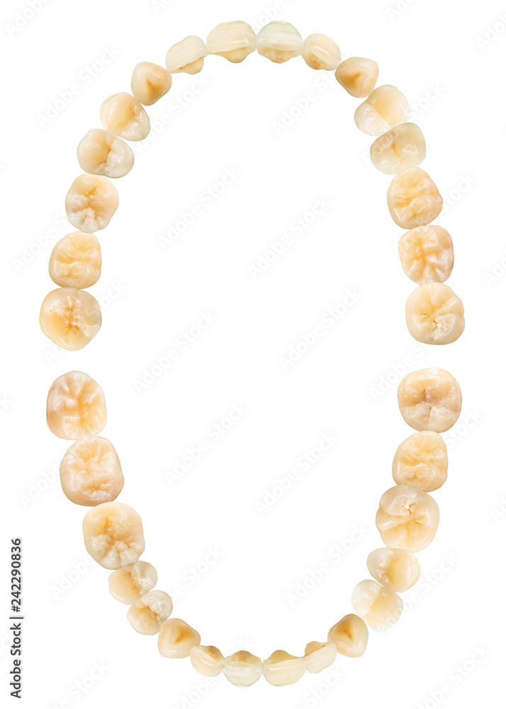Tooth diagram ( photography ). Real teeth chart . Top view . isolated ...
