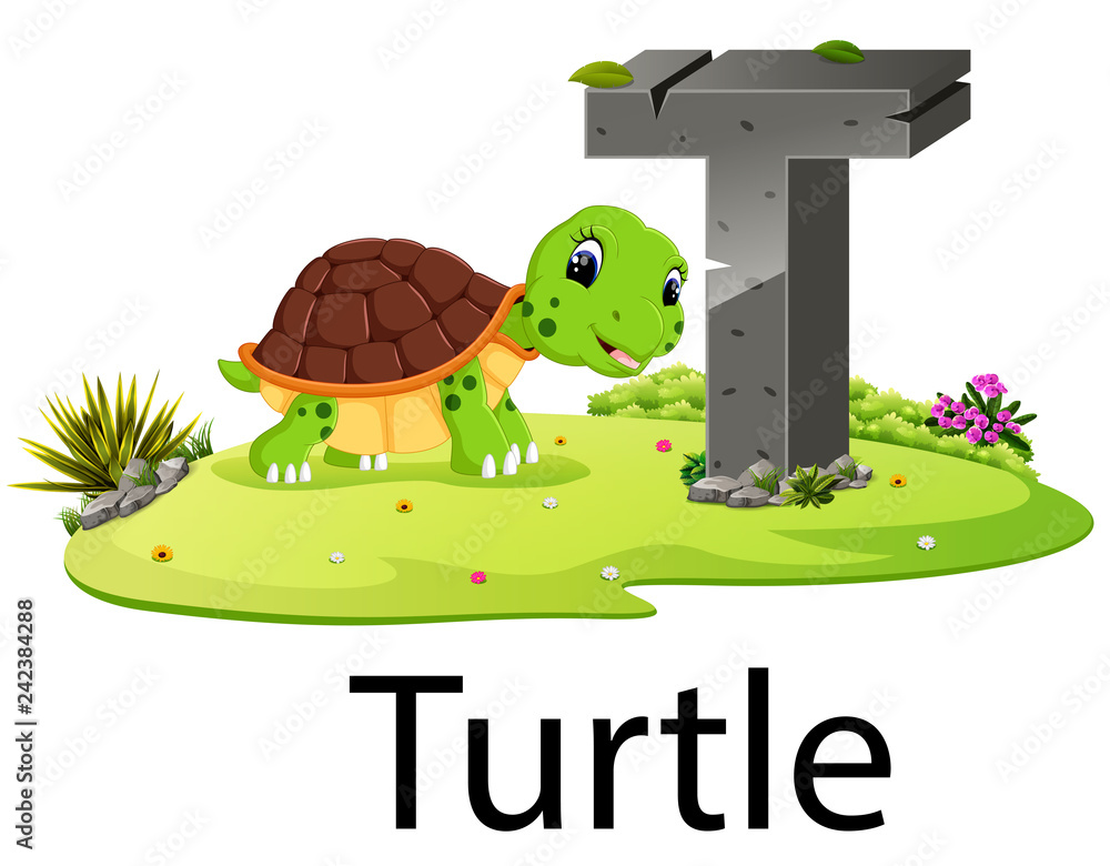 zoo animal alphabet T for turtle with the good animation Stock Vector ...