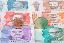 500 Pesos Tail Free Stock Photo - Public Domain Pictures