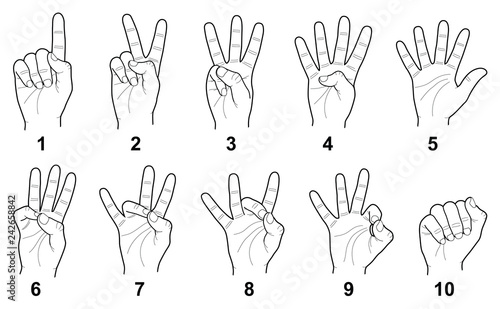 Hand sign language numbers collection - vector line illustration Stock ...
