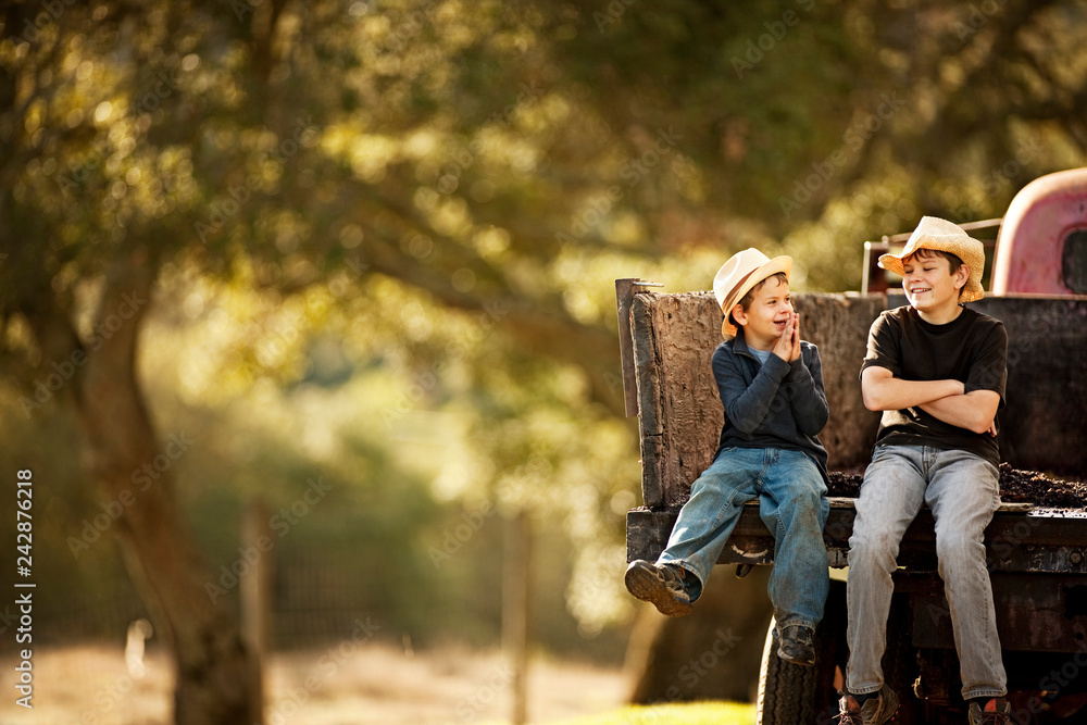 Two young brothers sitting on the back of a pick-up truck in the ...