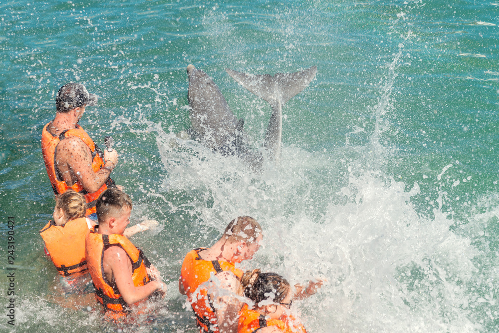 People swimming with dolphin. Dolphin hits the water with its tail ...