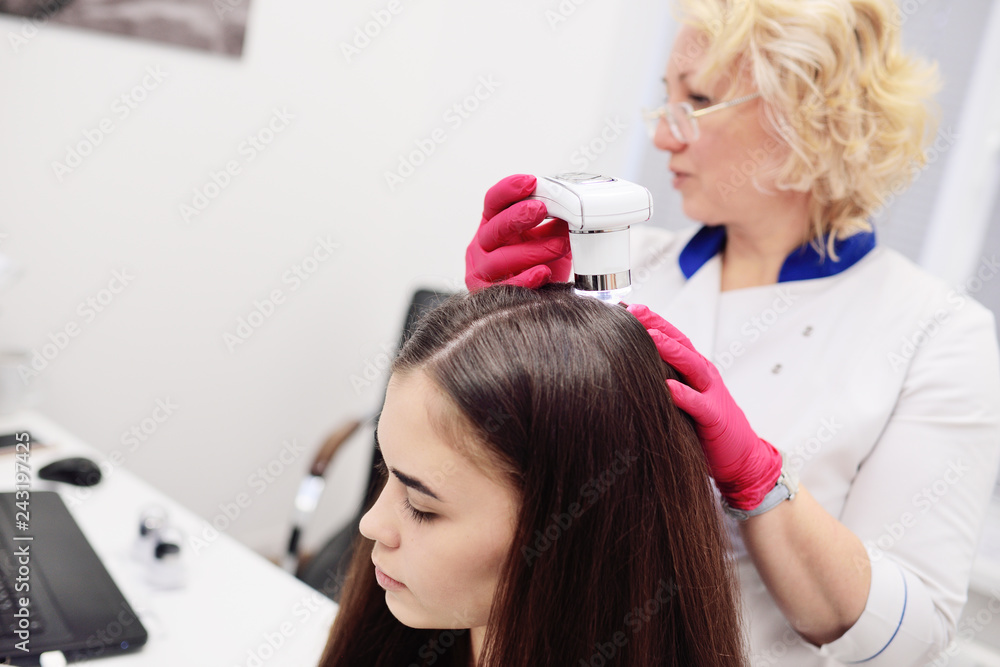doctor dermatologist diagnoses the structure of the hair of a young ...