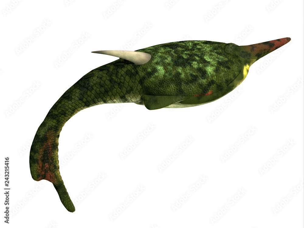 Pteraspis Fish Side Profile - Pteraspis was a primitive jawless fish ...