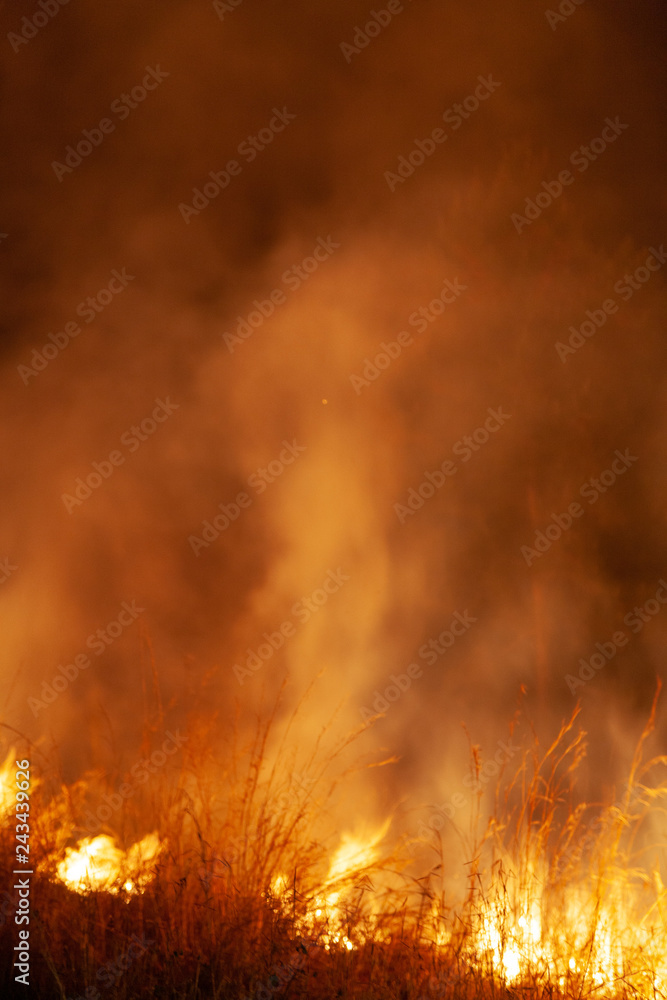 Extreme closeup of raging grass wildfire at night. Inspiration for ...