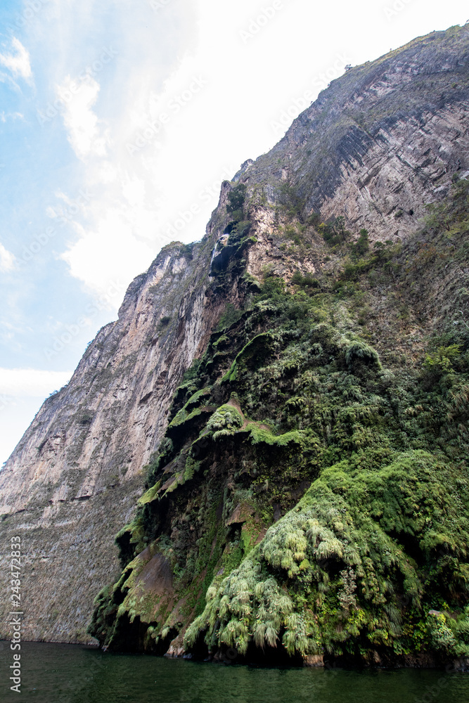 river in a canyon with high walls and florid green vegetation. walls ...