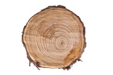 Olive Log Background Free Stock Photo - Public Domain Pictures