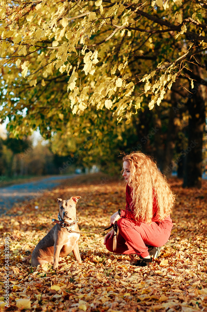 Woman and her loyal dog enjoying a beautiful autumn day surrounded by ...