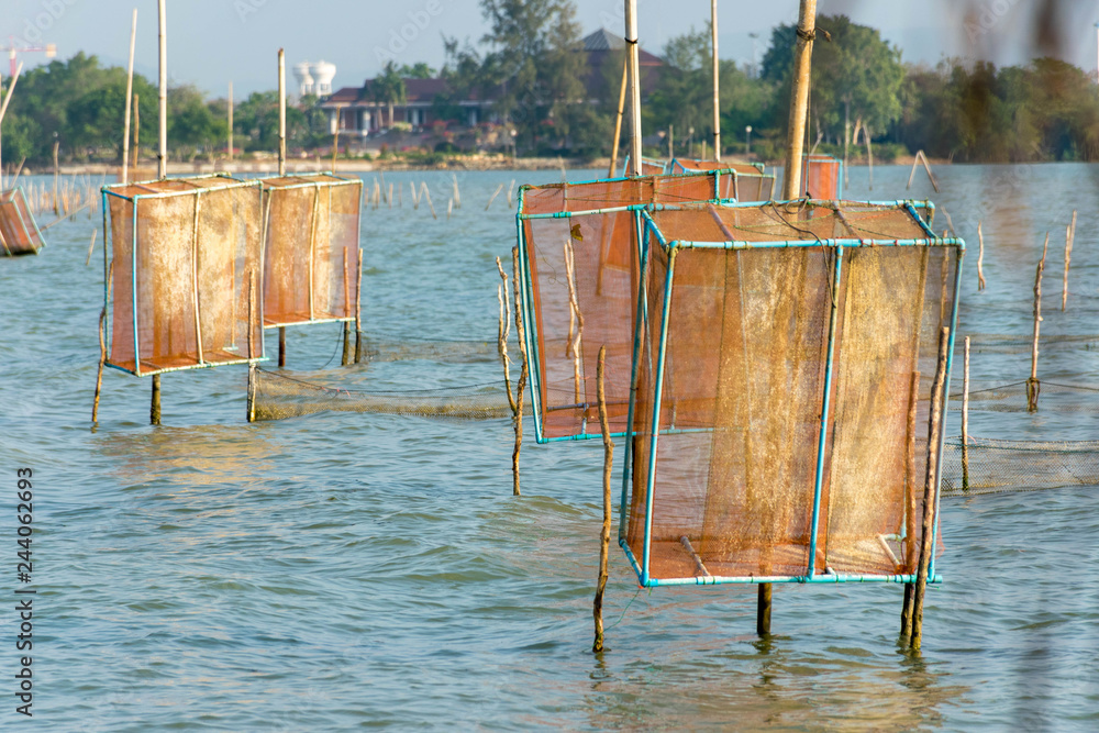 Basket fish traps to catch crab and lobster Stock Photo | Adobe Stock