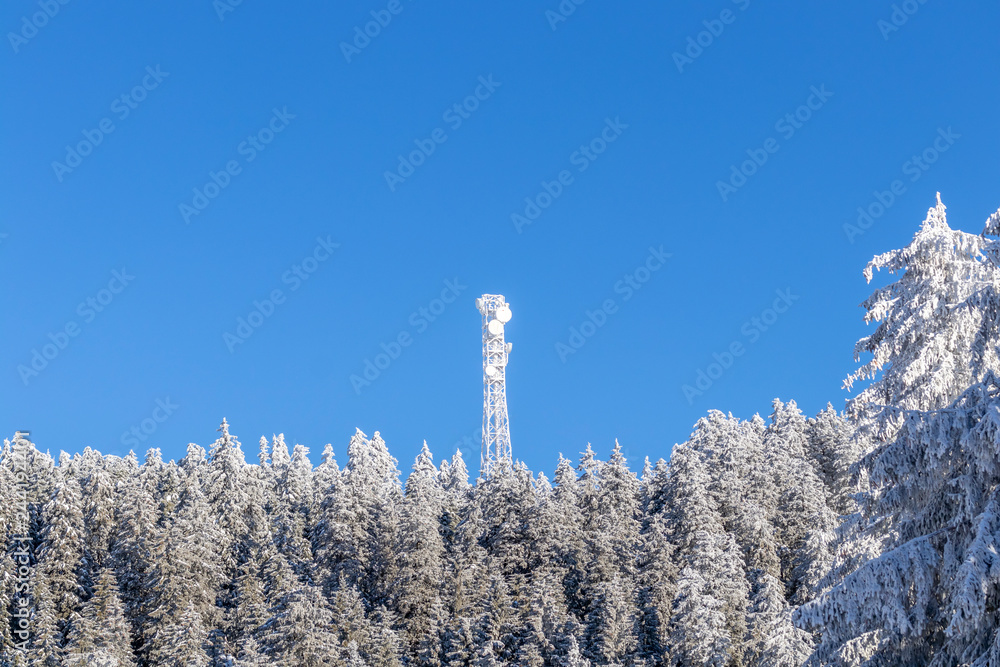 Eingefrorene G5 Antenne im Wald Stock Photo | Adobe Stock