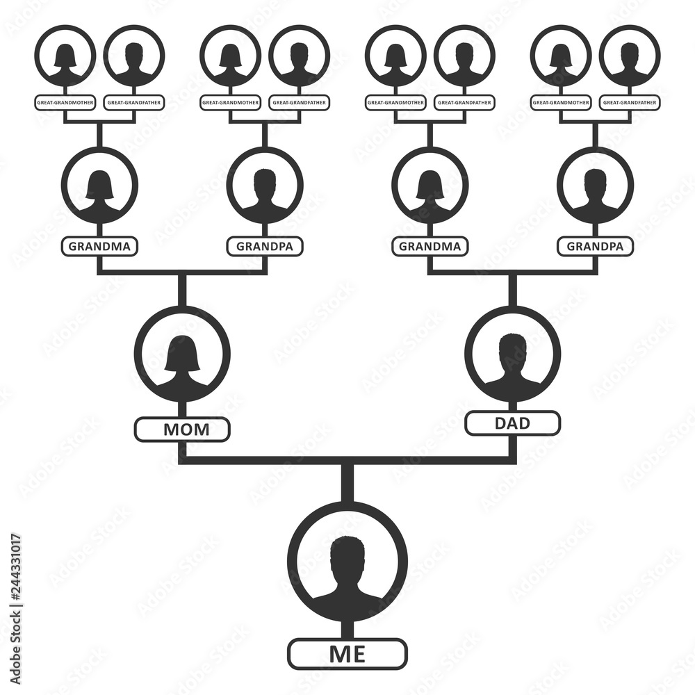 Family tree, pedigree or ancestry chart template. Family genealogical ...
