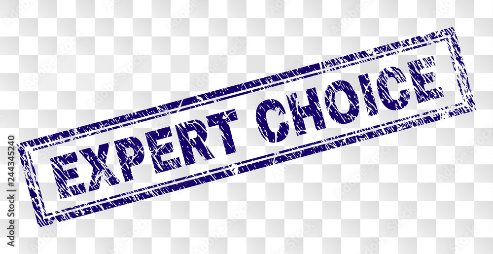 EXPERT CHOICE stamp seal print with rubber print style and double ...
