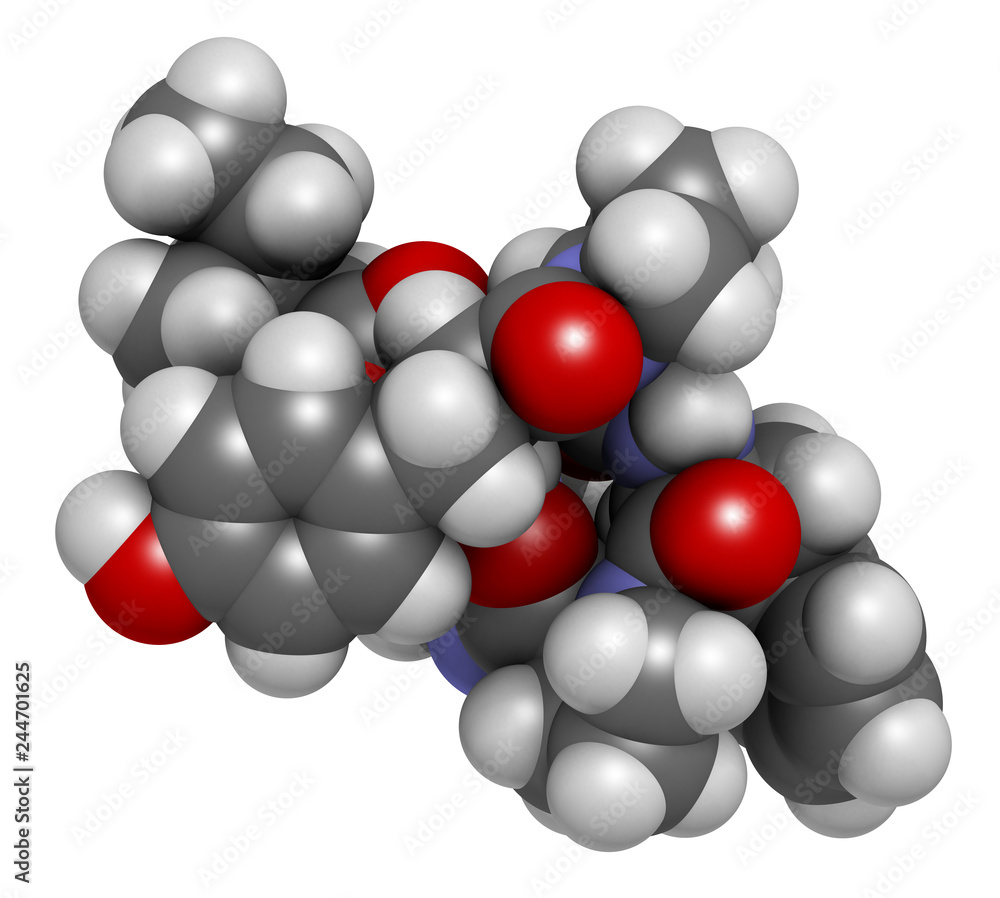 Beta-casomorphin peptide 7 molecule. Breakdown product of casein that ...