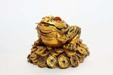Frog Golden Statue Isolated Free Stock Photo - Public Domain Pictures
