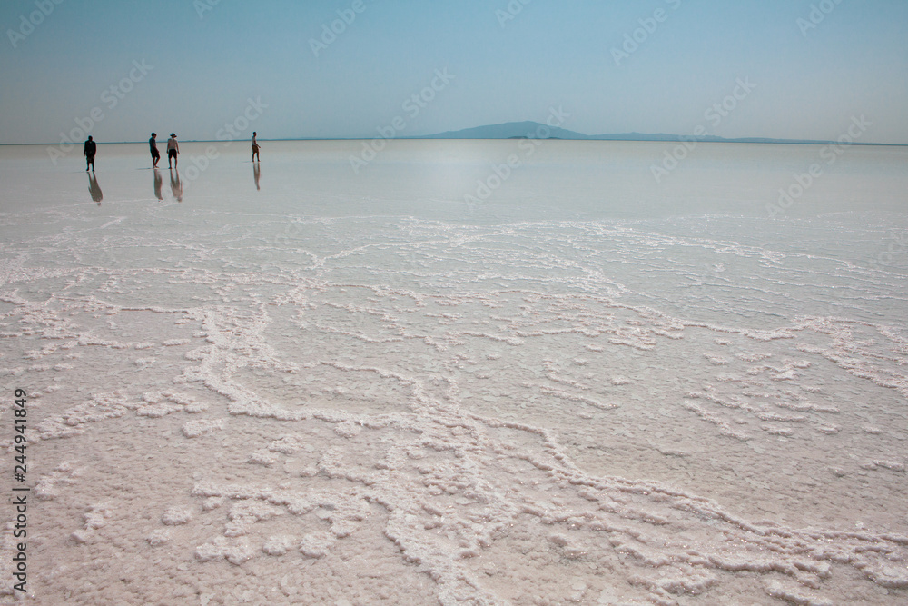 Saline Lake Asale covered with thick layer and complex patterns of salt ...
