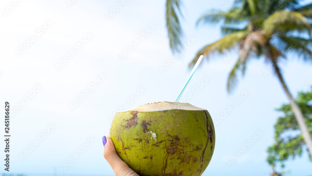 Coconut on the hand on summer holidays on the Phu Quoc island with ...
