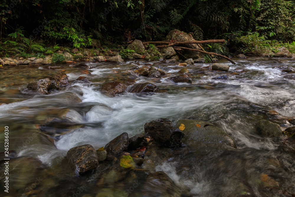 Nature landscape view of Deep forest clean river (image slightly long ...