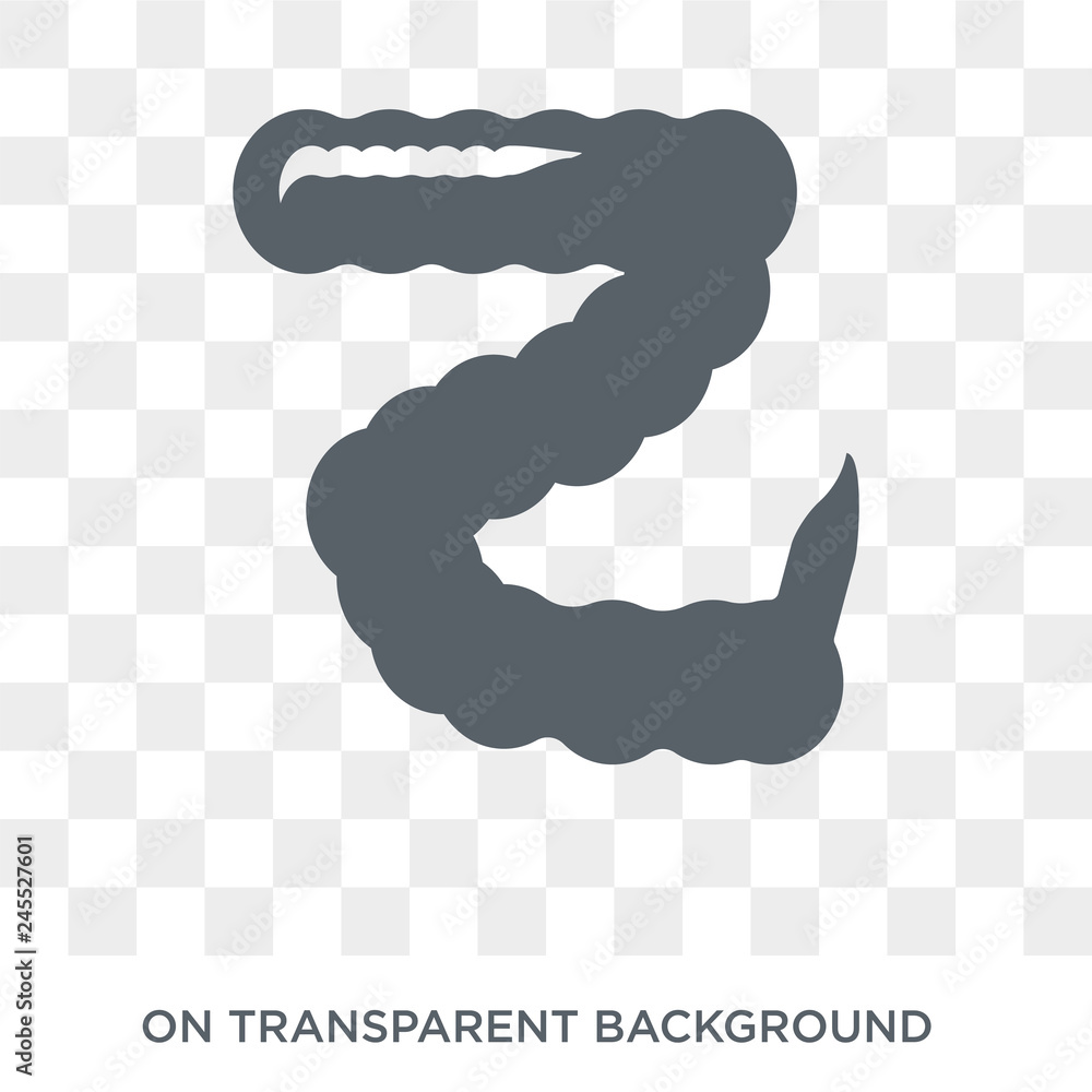 Large intestine icon. Trendy flat vector Large intestine icon on ...