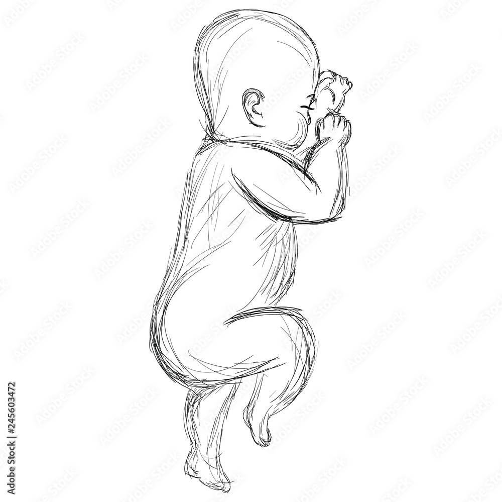 Sketch of cute sleeping baby. Line art. Newborn illustration. Hand ...