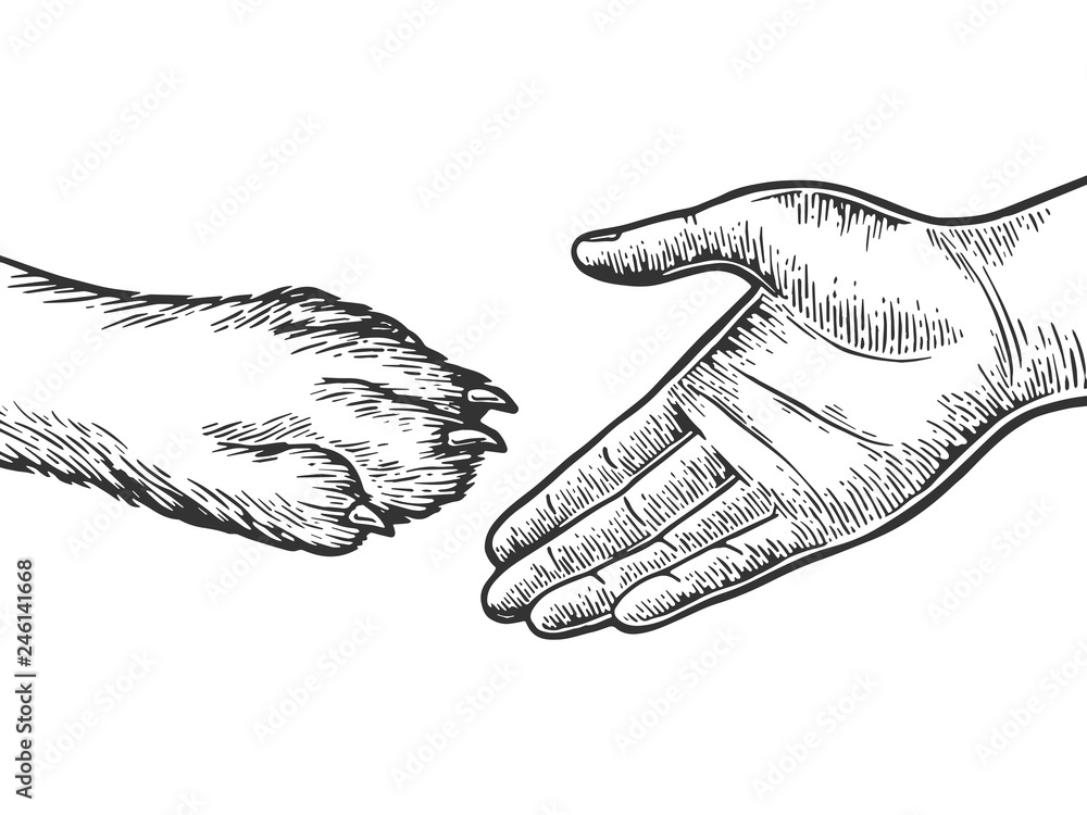 Dog Paw And Hand Logo