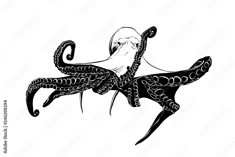 Vector engraved style illustration for posters, decoration and print ...