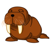 Cartoon Walrus Free Stock Photo - Public Domain Pictures
