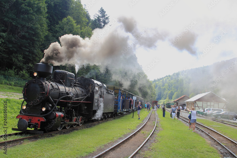 Photo Stock July 18, 2018: Cisna - Majdan, Poland: Bieszczady Railway ...