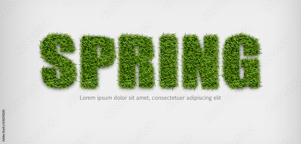 Spring sign in green grass Vector realistic. Spring sales banner on ...