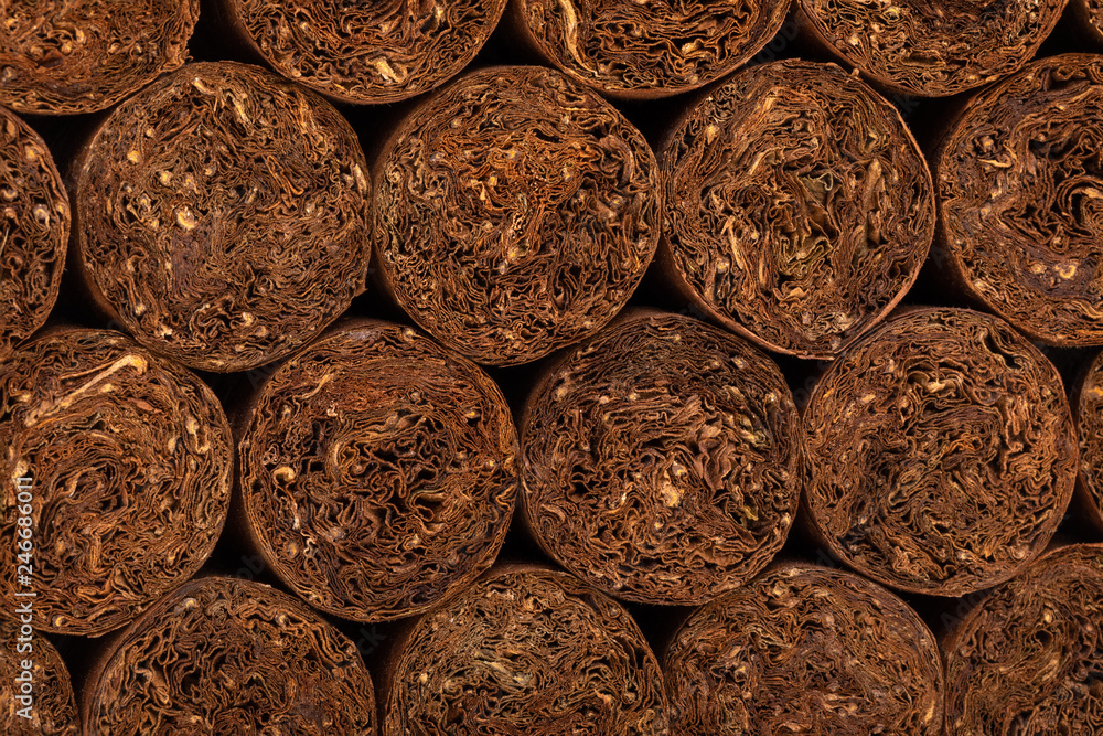 Cuban cigar texture. close-up detail of cigars. background on the topic ...