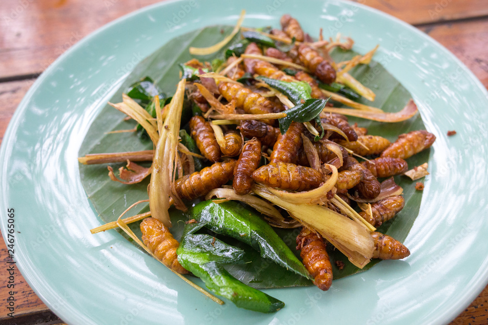 Deep fried silkworm larvae with kaffir lime leaves - traditional Laos ...