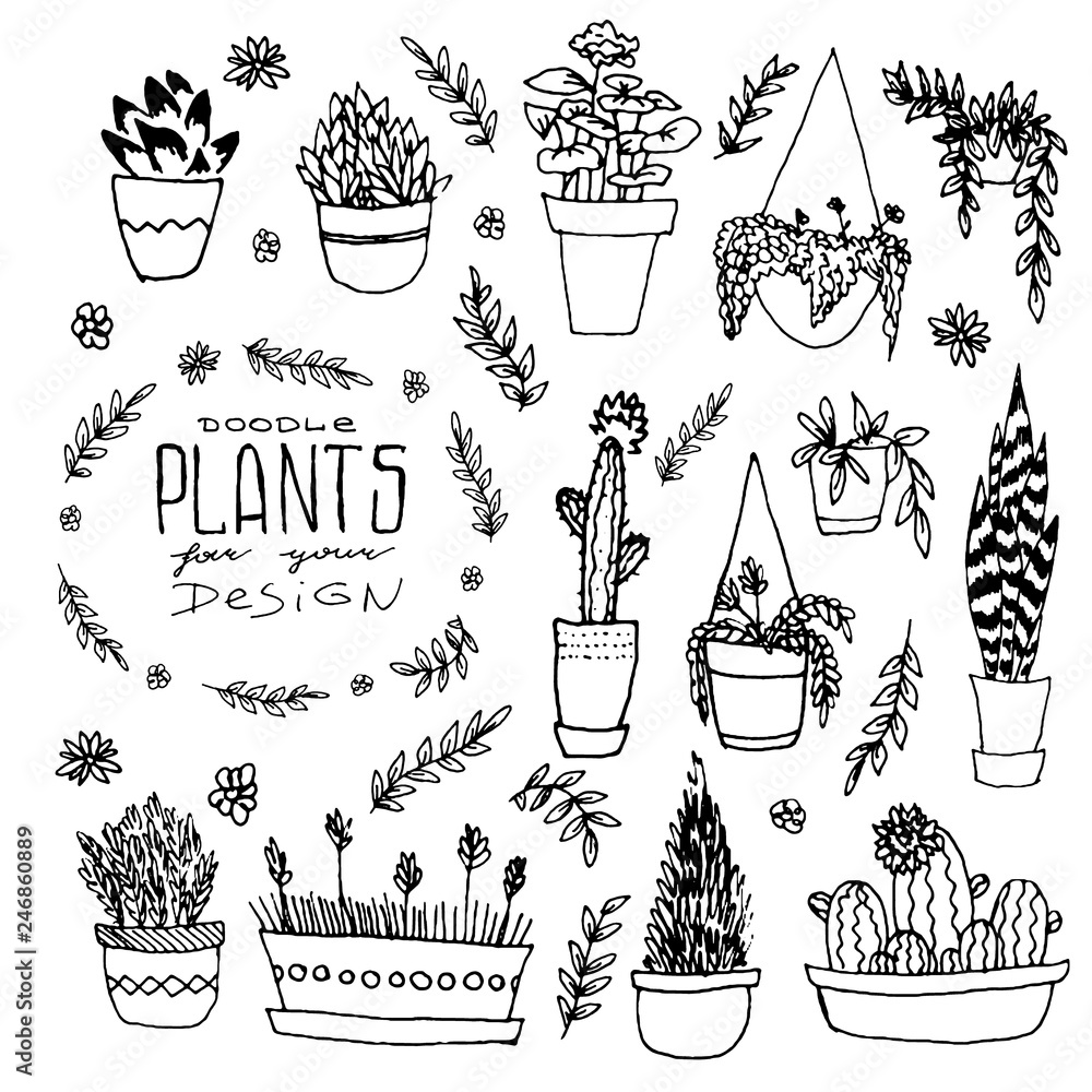 Cute Vintage Doodles of Indoor Plants. Isolated Hand Drawn Hipster ...