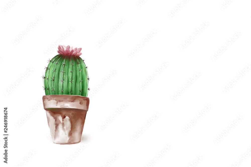 cacti and succulent plants watercolor style vector isolated on white ...