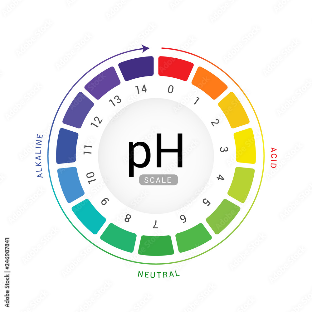 Image vectorielle Stock pH scale indicator chart diagram acidic alkaline measure. pH analysis ...