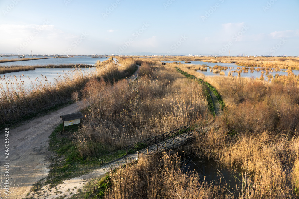 Tancat de la Pipa Albufera Valencia, touristic ride. old rice field ...