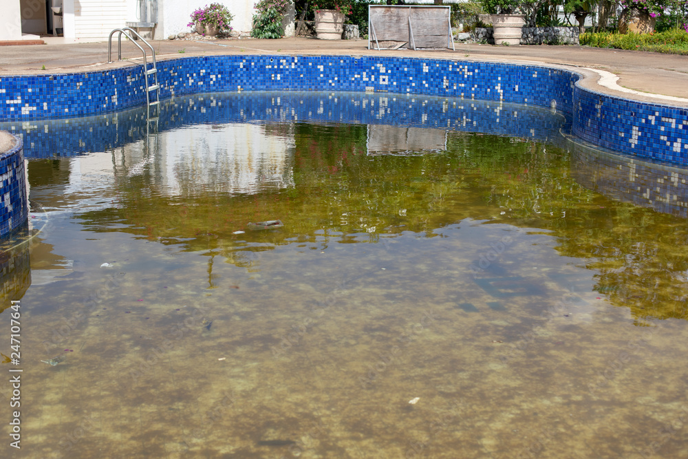 Dirty swimming pool water in old swimming pool Stock Photo | Adobe Stock