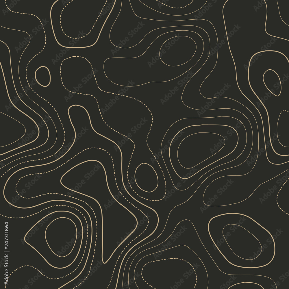 Topographic map lines. Actual topography map. Seamless design. Positive ...